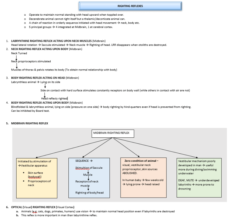 POSTURE & ITS REGULATION – Concept Maps