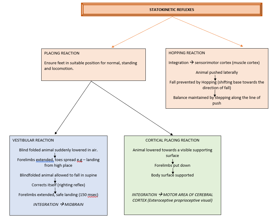 POSTURE & ITS REGULATION – Concept Maps
