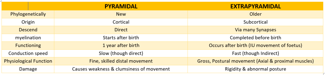 DESCENDING MOTOR PATHWAYS / DESCENDING TRACTS – Concept Maps