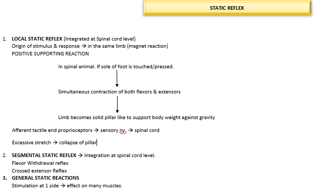 POSTURE & ITS REGULATION – Concept Maps