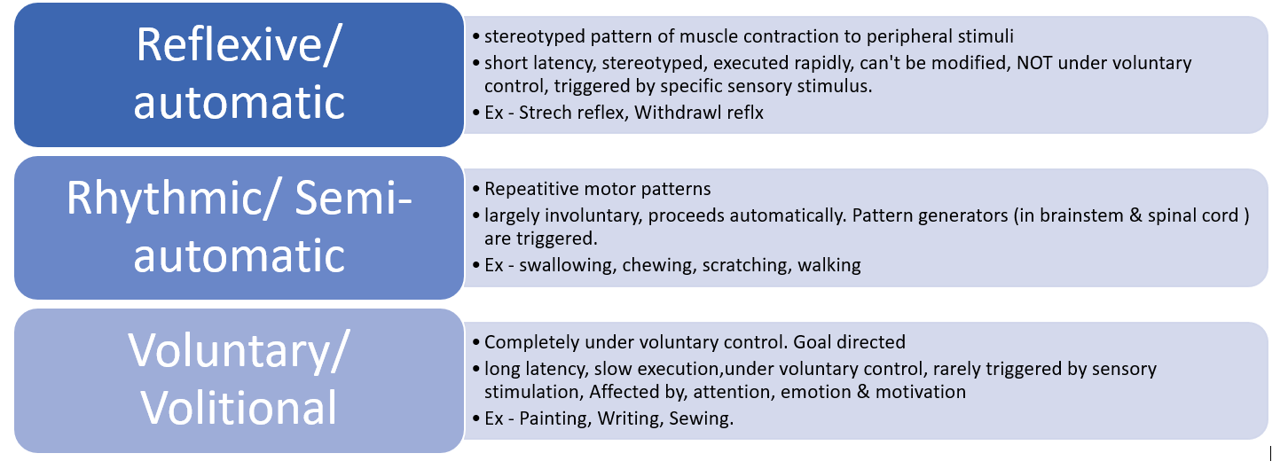 ORGANISATION OF MOTOR SYSTEM – Concept Maps