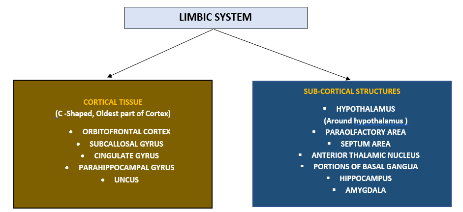 LIMBIC SYSTEM – Concept Maps