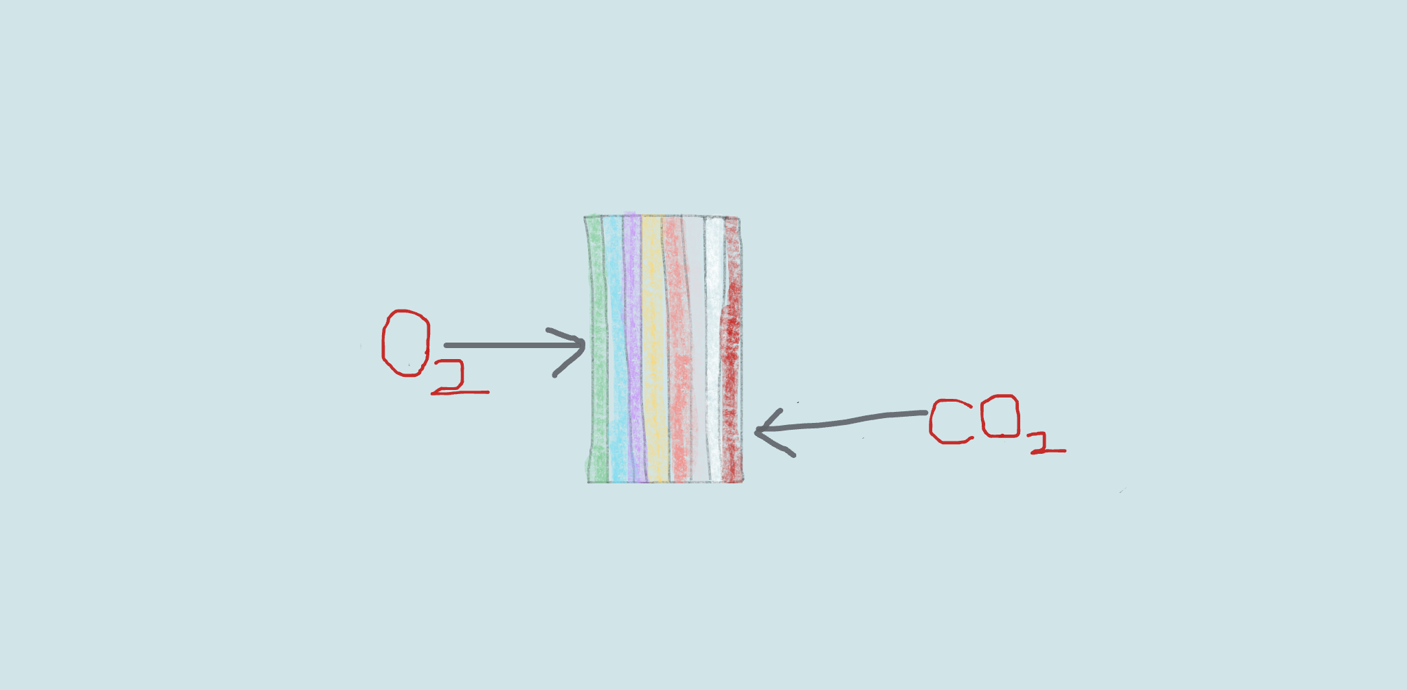 RESPIRATORY MEMBRANE – Concept Maps