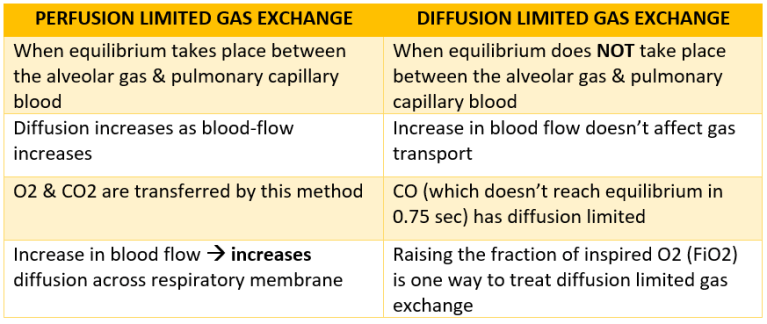 RESPIRATORY MEMBRANE – Concept Maps