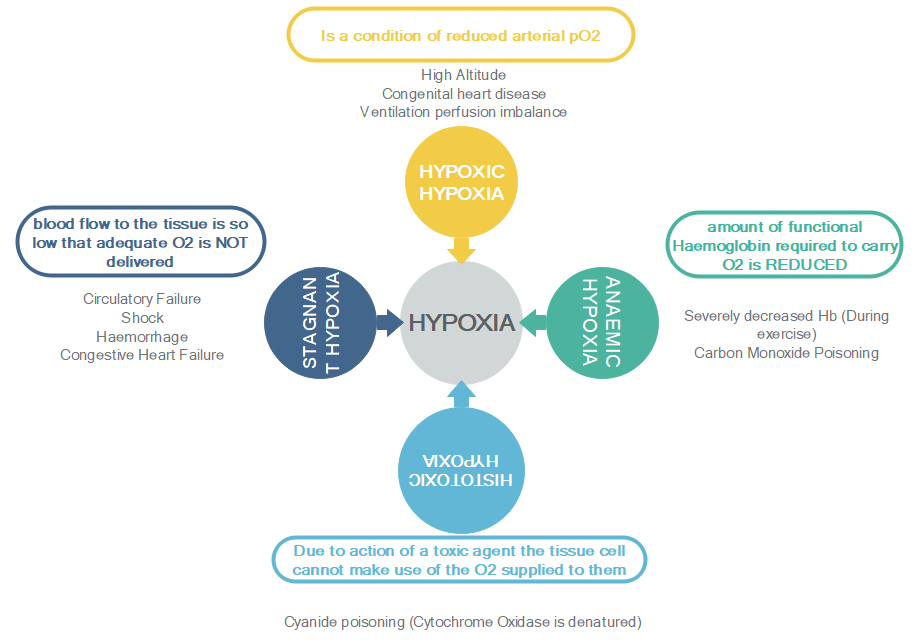 HYPOXIA – Concept Maps