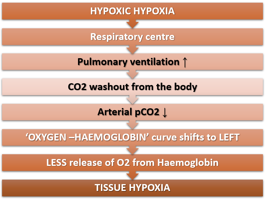 HYPOXIA – Concept Maps